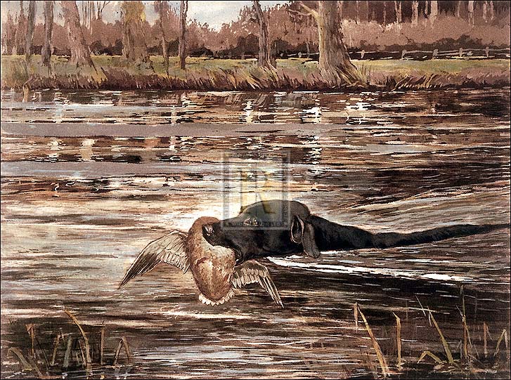 Reuben Ward Binks Artist Hand Colored Copper Plate Printed Atelier ...