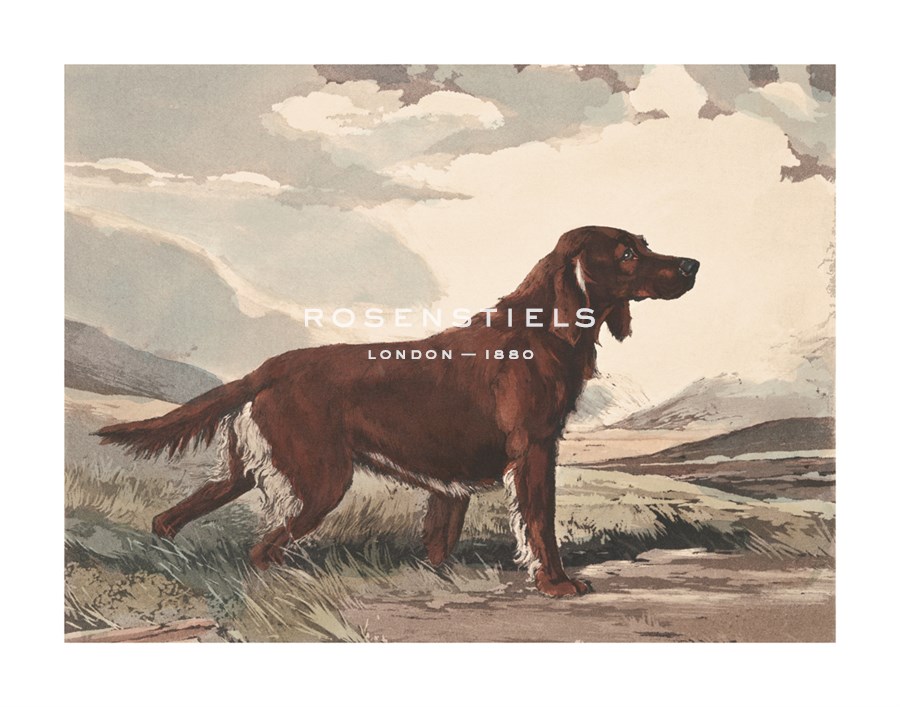 Reuben Ward Binks Hand Numbered Limited Edition Print on Paper :"Irish ...