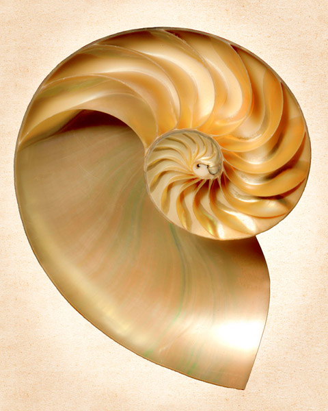 Richard Reynolds 30 x 24 Signed - Museum Wrapped Giclee on Canvas ...