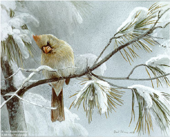 ROBERT BATEMAN 9X10 Secondary Market Art: "FEMALE CARDINAL" - BATEMAN ...