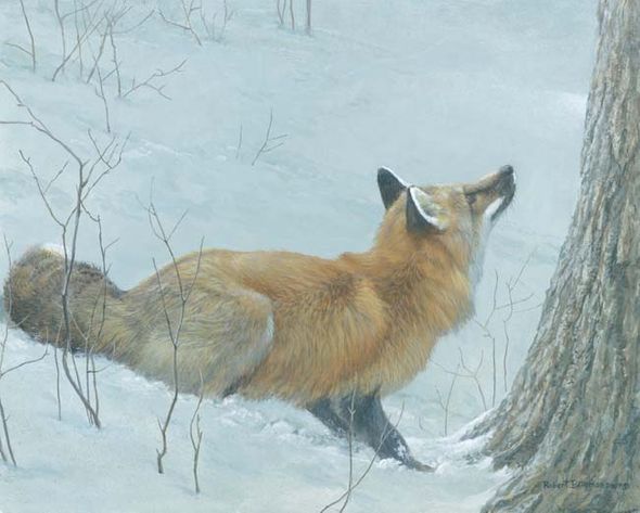 Robert Bateman Handsigned and Numbered Limited Edition: "Game Over ...
