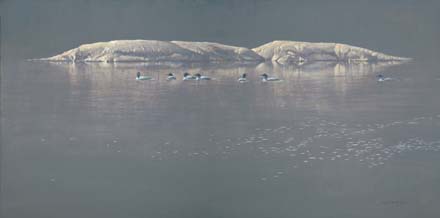 Robert Bateman Handsigned & Numbered Limited Edition Print:"Loon ...