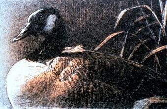 Robert Bateman Limited Edition Paper Print:"Lions At Dawn" - Robert Bateman