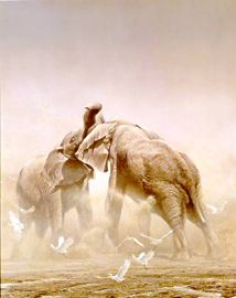 Robert Bateman Limited Edition Print:"Sparring Elephants" - Robert Bateman