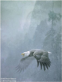 Robert Bateman Artist Signed and Numbered Limited Edition Print ...