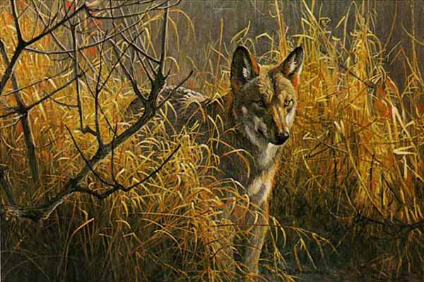 ROBERT BATEMAN Secondary Market Art: "RED WOLF" - BATEMAN, ROBERT