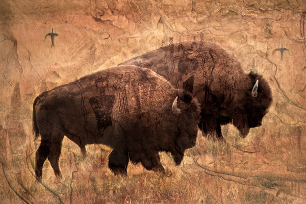 Robert Dawson 24 x 36 Open Edition Signed Giclee on Canvas:"The Elders ...