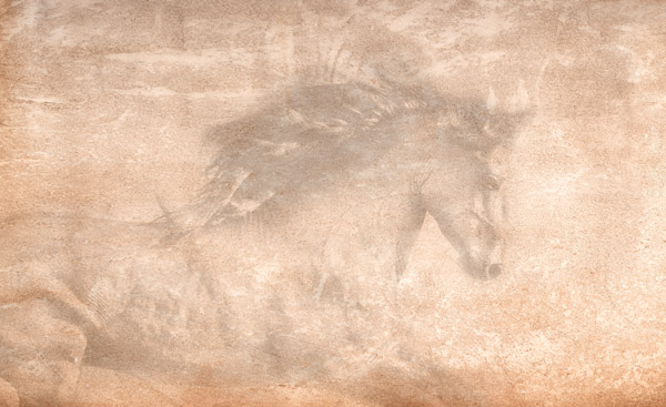 Robert Dawson 24 x 36 Open Edition Signed Giclee on Canvas:"The ...