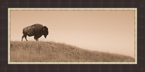 Robert Dawson 27 x 57 Canvas Giclee Art:"Buffalo Guardian" - Robert Dawson