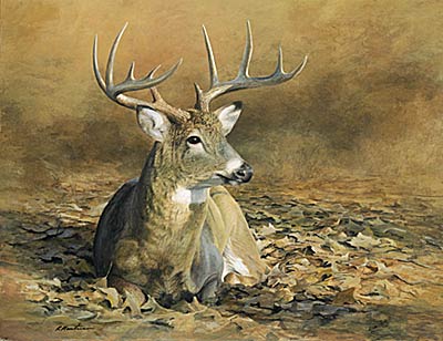 Robert Hautman Limited Edition Print:"October Sun" - Hautman Brothers