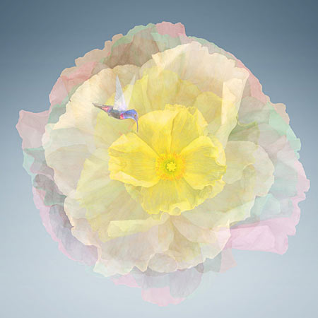 Robert Mertens Handsigned and Numbered Limited Edition Canvas Art ...