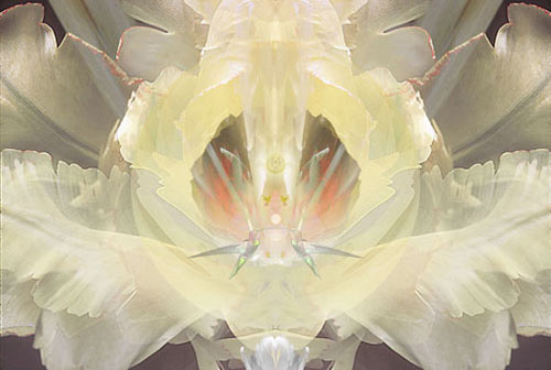 Robert Mertens Handsigned and Numbered Limited Edition Canvas Art ...