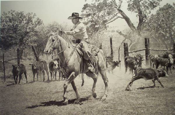 Robert Shufelt Handsigned and Numbered Limited Edition: "#4/Stir'n Dust ...