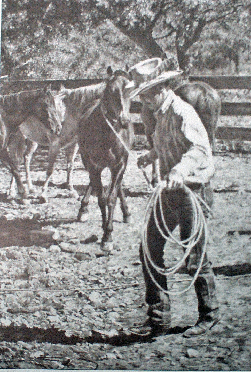 Robert Shufelt Handsigned and Numbered Limited Edition: "Snagged ...