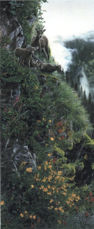 Rod Frederick Limited Edition Giclee Canvas"Rambunctious" - Rod Frederick