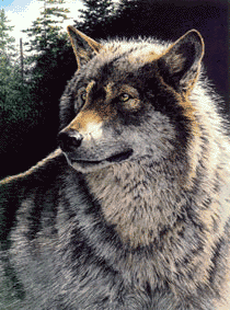 ROD LAWRENCE 24X16 Secondary Market Art: "PAWS FOR REFLECTION ...