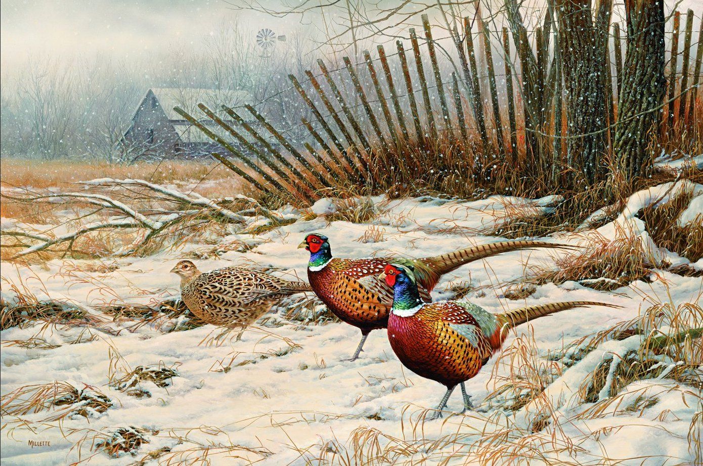 Rosemary Millette Artist Signed Limited Edition Print:"Windbreak Refuge ...