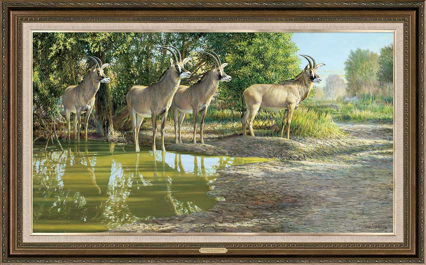 Ron Van Gilder Framed Limited Edition Canvas: "All Aglow-Roan Antelope ...