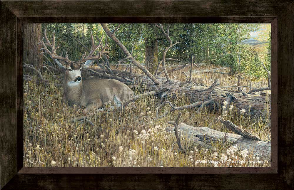 Ron Van Gilder Framed Limited Edition Canvas: "Blow Down Buck-Mule Deer ...