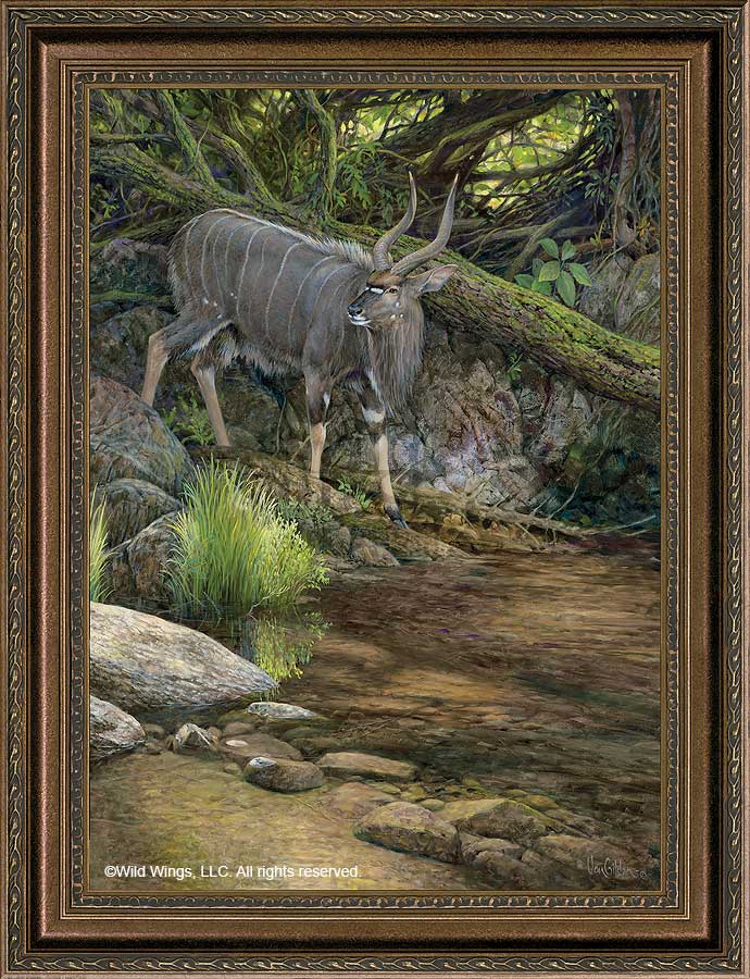 Ron Van Gilder Framed Limited Edition Canvas: "Secret Spring-Nyala ...