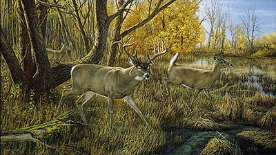 Ron Van Gilder Limited Edition Print:"Old Mossy Horns-Deer" - Ron Van ...