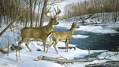 Ron Van Gilder Limited Edition Print:"The Jordan Buck" - Ron Van Gilder