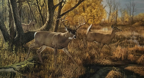 Ron Van Gilder Print-Signed and Numbered:"Old Mossy Horn S/N Deer Buck ...