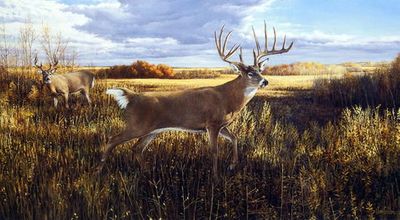 Ron Van Gilder Print-Signed and Numbered:"The Hanson Buck" - Ron Van Gilder