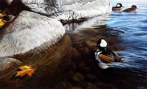 Ron Van Gilder Print-Signed and Numbered:"Through the Shallows ...