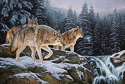ROSEMARY MILLETTE 14X21 Secondary Market Art: "SPIRIT WILD WOLVES ...