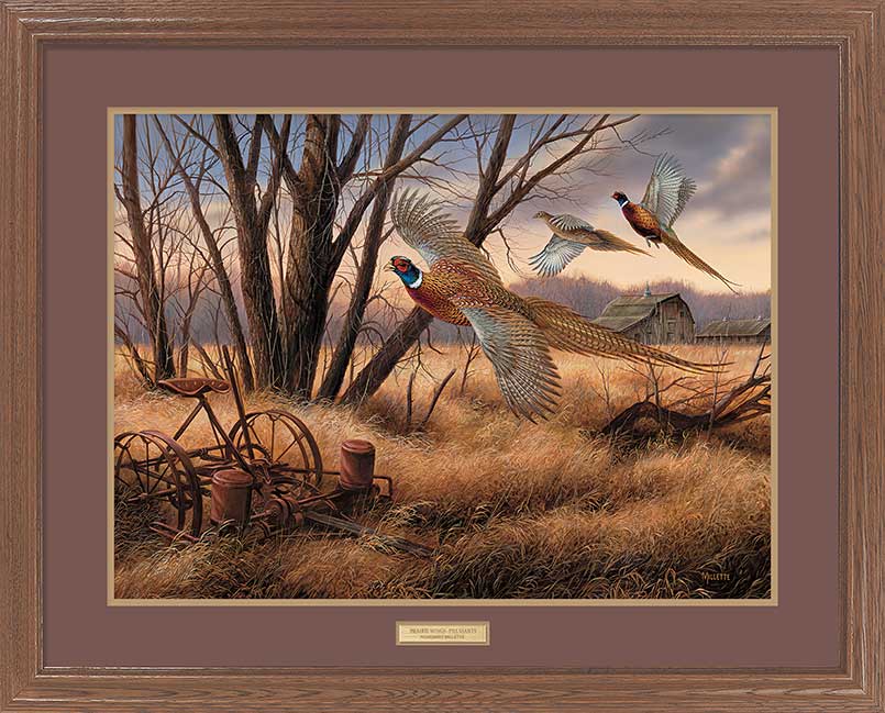 Rosemary Millette Great Northern Art Open Edition Framed Art Print ...