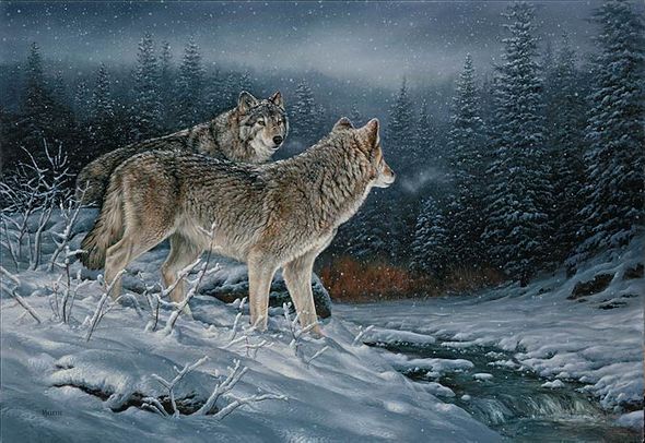 Rosemary Millette Handsigned & Numbered Limited Edition Artist Proof ...