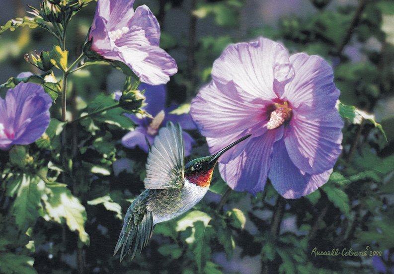 Russell Cobane Signed Open Edition Lithograph "Hummin' Along" - Russell ...