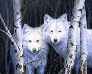 Rusty Frentner Limited Edition Print: "White Magic" - Rusty Frentner