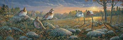 Sam Timm Handsigned and Numbered Limited Edition Print: "Evening Sunset ...