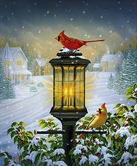 Sam Timm Limited Edition Print:"Evening Glow-Cardinals" - Sam Timm