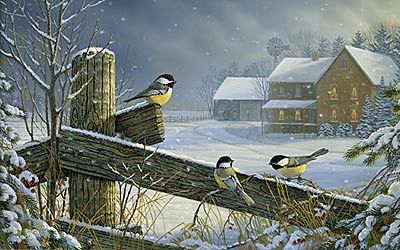 Sam Timm Limited Edition Print:"Winter Chickadees" - Sam Timm