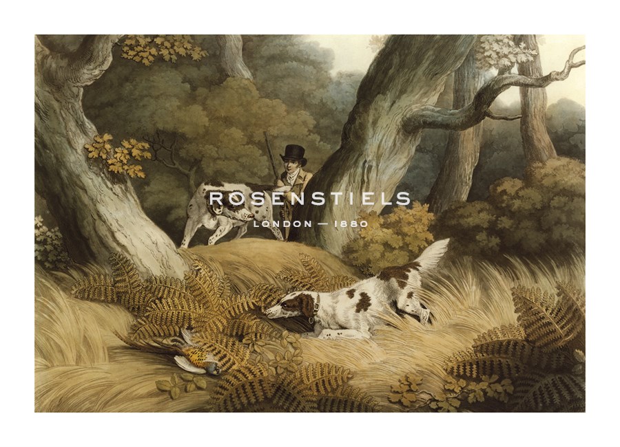 Samuel Howitt Hand Numbered Limited Edition Print on Paper :"Pheasant ...