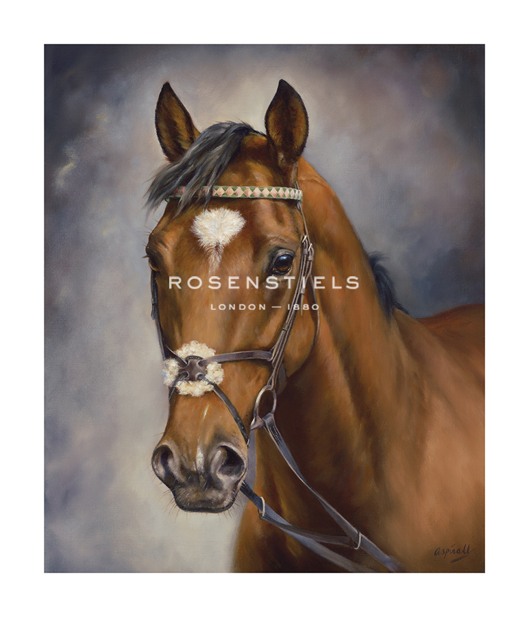 Sarah Aspinall Hand Numbered Limited Edition Print on Paper :"Frankel ...