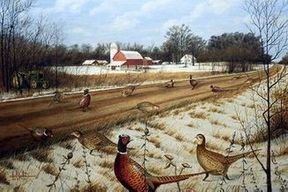 Scot Storm Artist Proof:"Spring Mist- Black Ducks" - Scot Storm