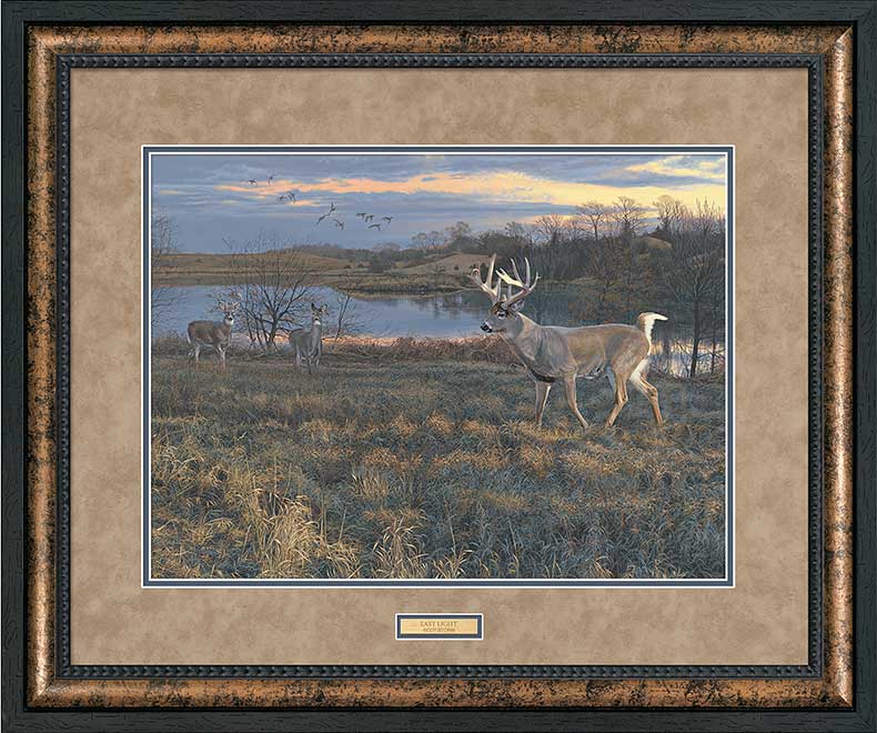 Scot Storm Framed Art Print:"Last Light-Whitetail Deer" - Wild Wings ...