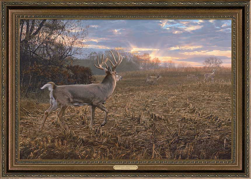 Scot Storm Framed Artist Proof Canvas: "Into the Light-Deer" - Scot Storm