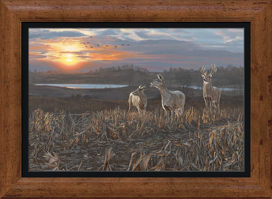 Scot Storm Framed Limited Edition Canvas: "Evening Glow-Deer" - Scot Storm