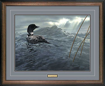 Scot Storm Handsigned and Numbered Limited Edition: "Framed Weather the ...