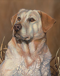 Scot Storm Handsigned Open Edition:"Loyal Companion-Y. Lab" - Scot Storm