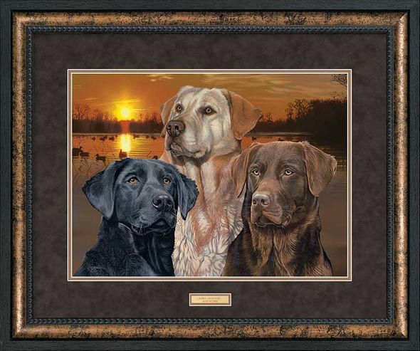 Scot Storm Open Edition Framed Print: "Sunset Trio-Three Labs " - Wild ...