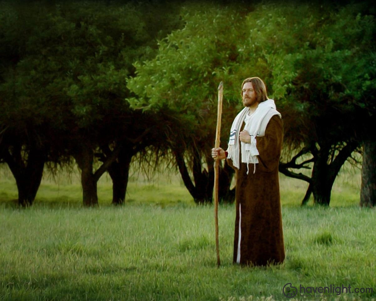 Scott Sumner Fine Art Canvas Giclee: "Lord Of The Vineyard" - Scott Sumner