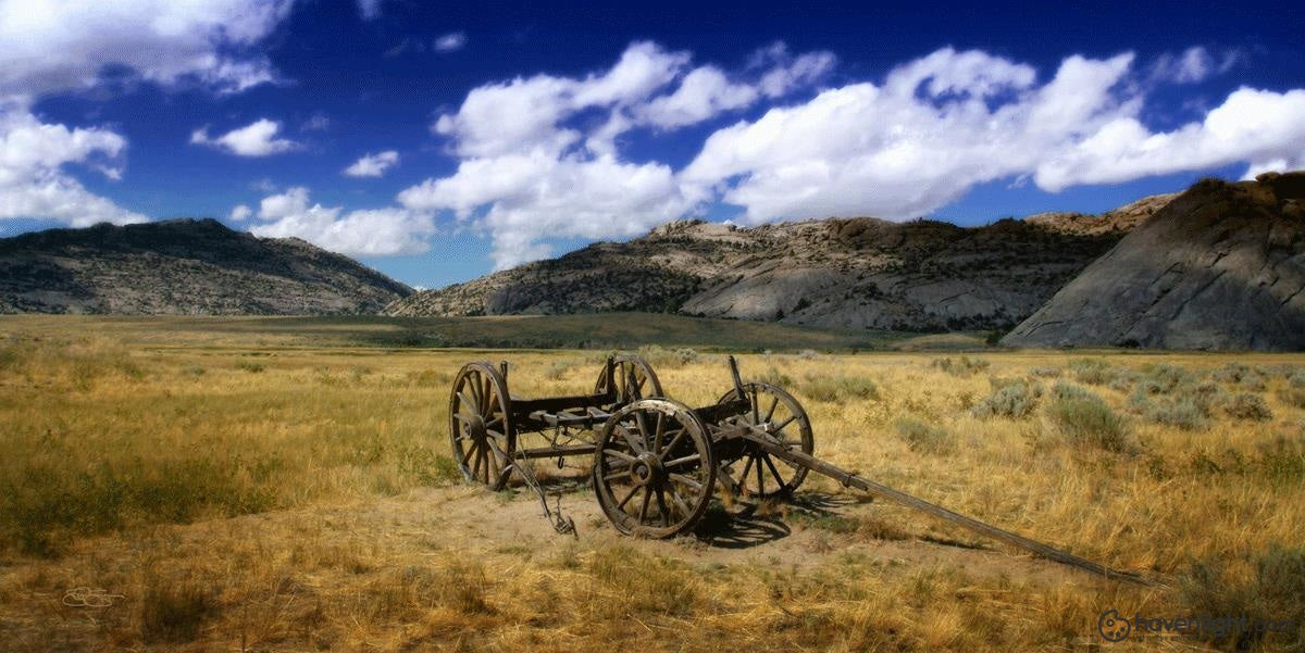 Scott Sumner Fine Art Canvas Giclee: "Martin's Cove" - Scott Sumner