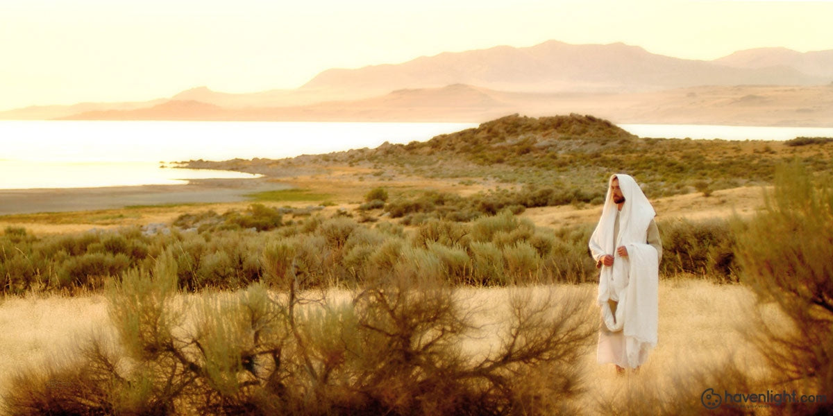 Scott Sumner Fine Art Canvas Giclee: "The Lord is My Shepherd" - Scott ...