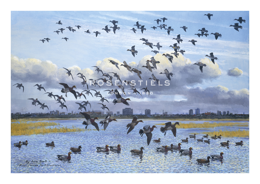 Sir Peter Scott Hand Numbered Limited Edition Print on Paper :"Barn ...